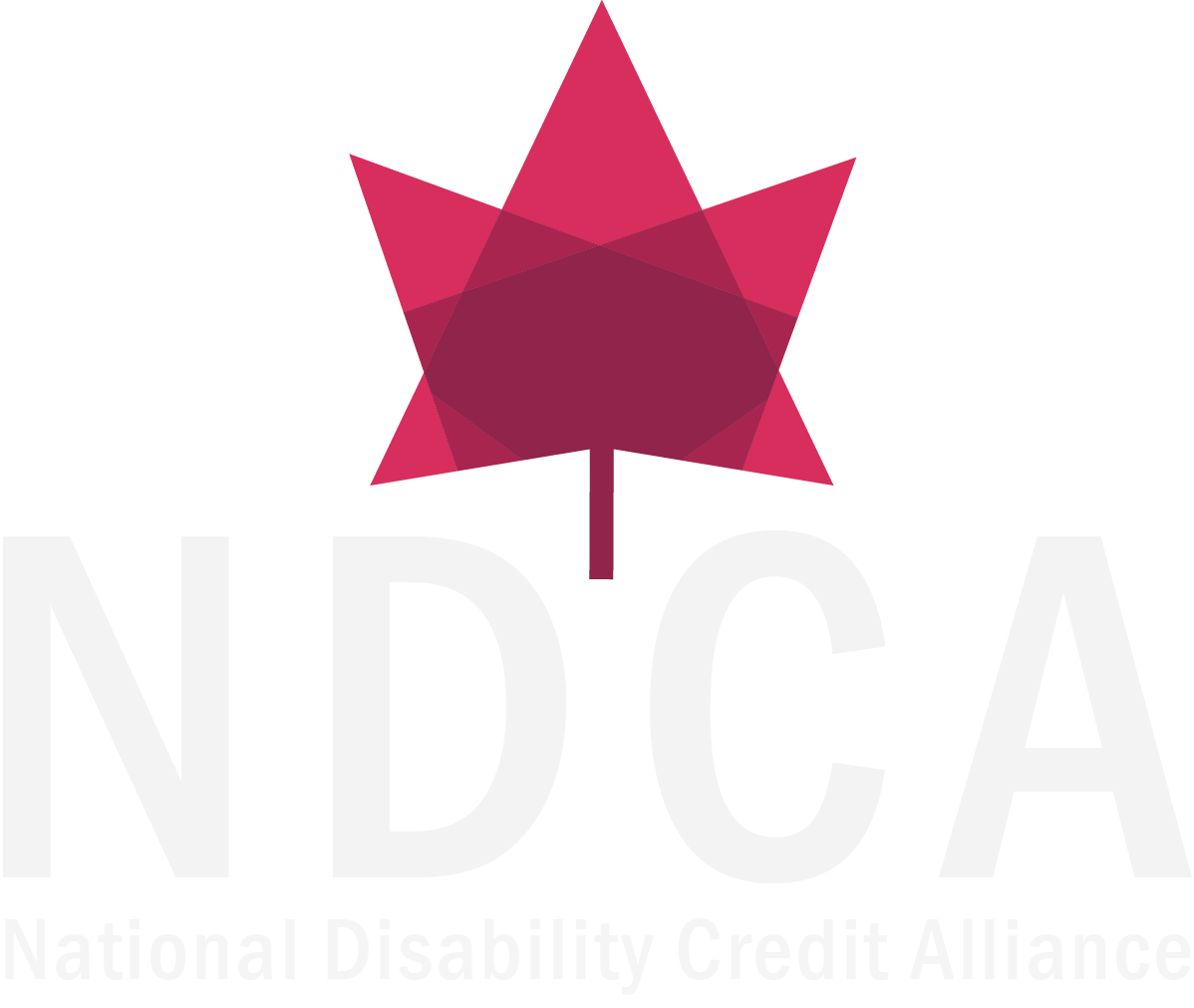 Disability Tax Credits Canada | NDCA